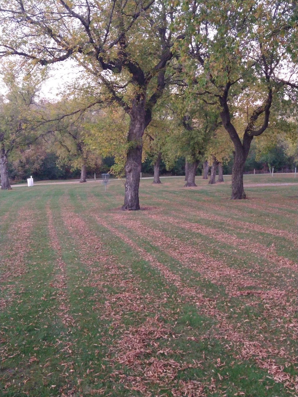 McGrath Park - Barnesville, Minnesota | UDisc Disc Golf Course Directory