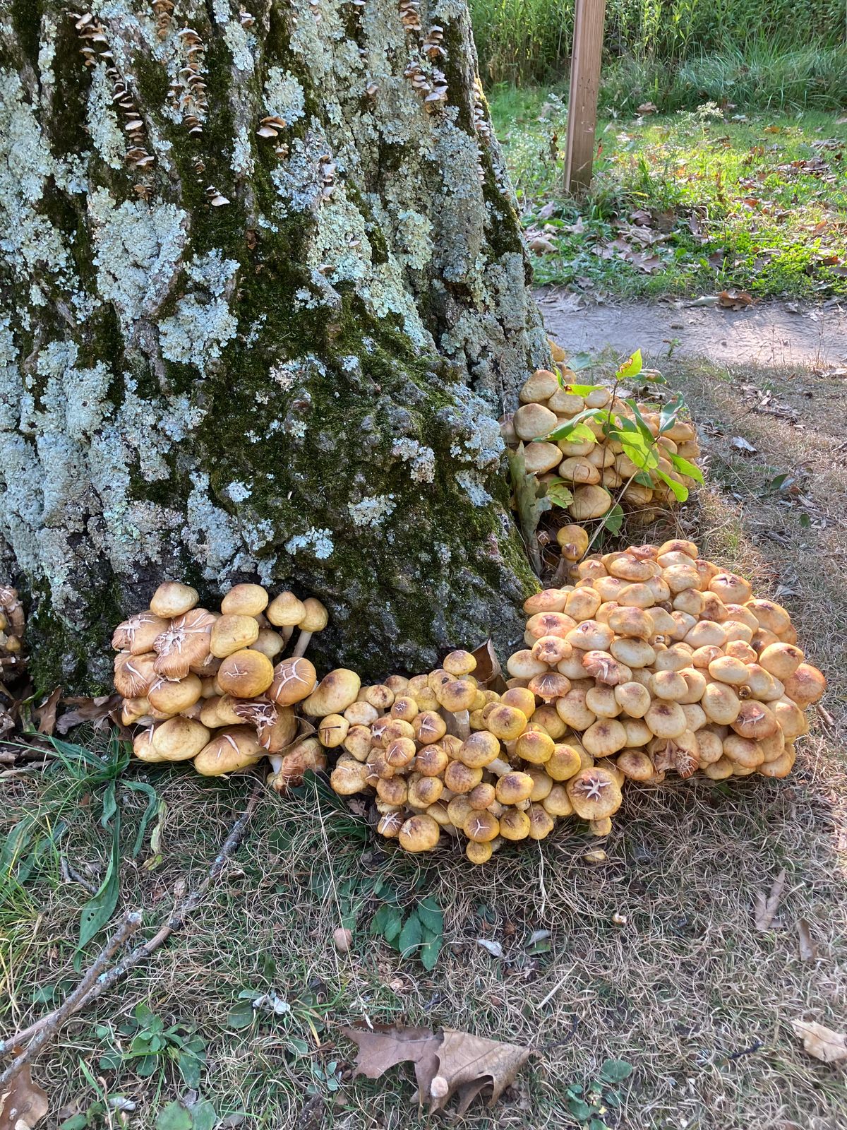 Phantom Lake DGC - Mukwonago, Wisconsin | UDisc Disc Golf Course Directory