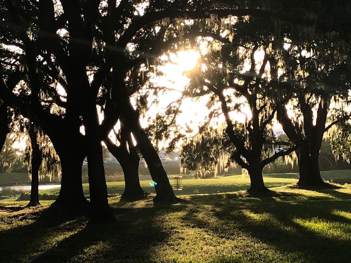 Cliff Stephens Park - Clearwater, Florida | UDisc Disc Golf Course ...