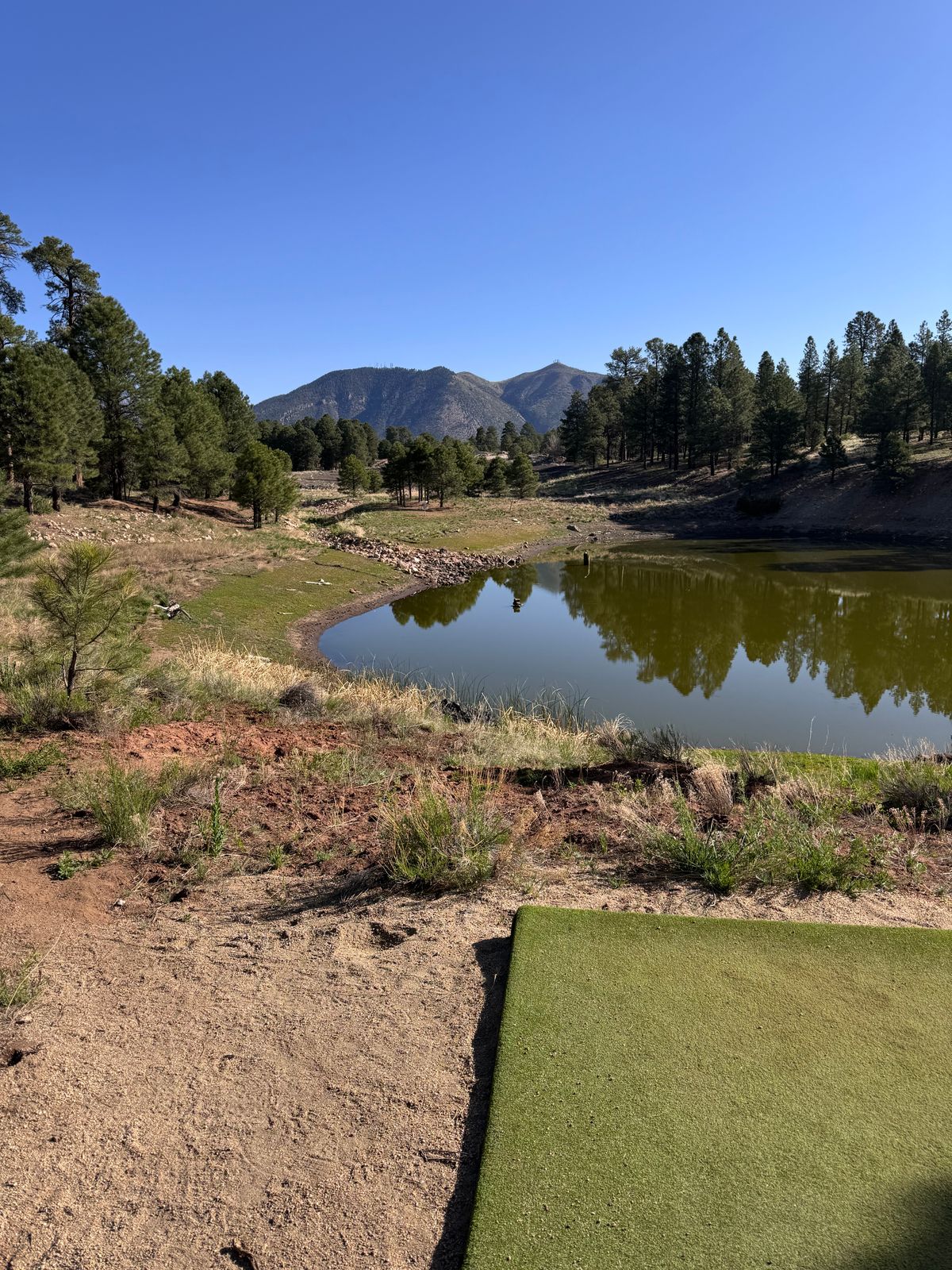 Little America - Flagstaff, Arizona | UDisc Disc Golf Course Directory