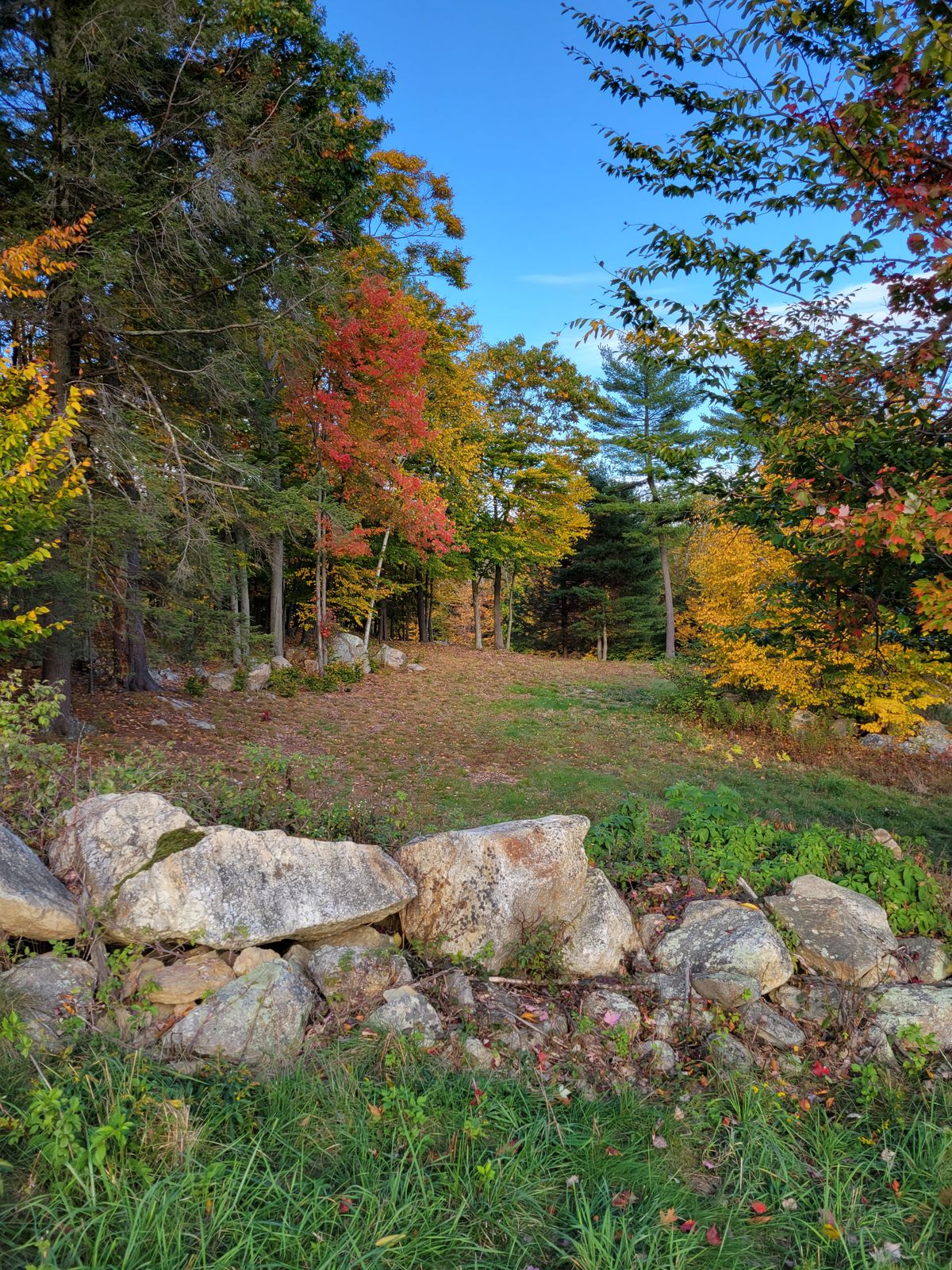 100 Best Disc Golf Courses in the World (2026) | UDisc
