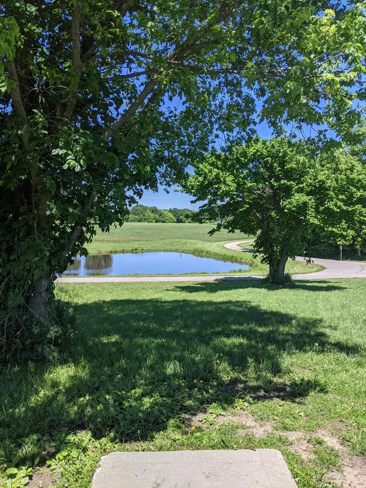 Paradise Pointe - Blackthorn - Smithville, MO | UDisc Disc Golf Course ...
