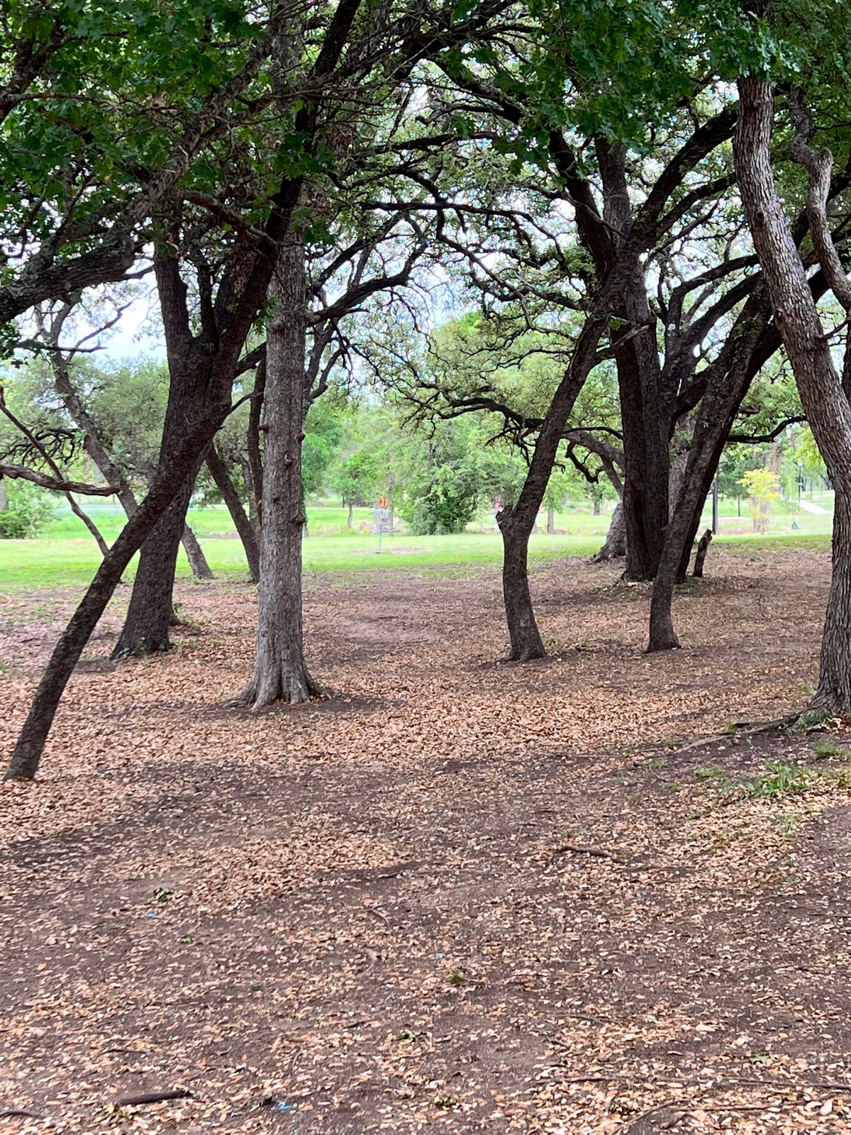 Purser Park - Harker Heights, TX | UDisc Disc Golf Course Directory | UDisc
