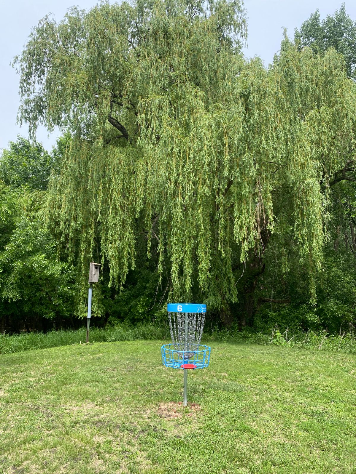 Benson Disc Golf Course - Benson, Minnesota | UDisc Disc Golf Course ...