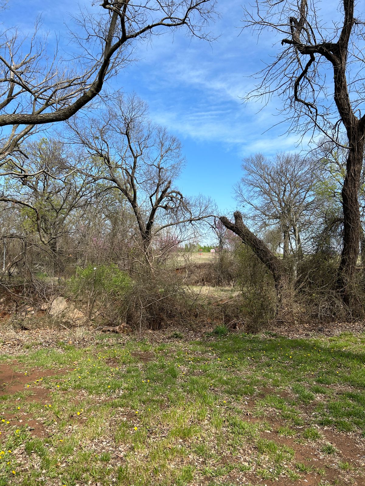 First Southern Baptist Church - Oklahoma City, Oklahoma | UDisc Disc ...