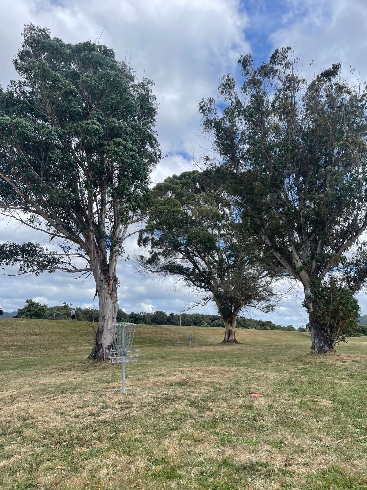 Moonshine Park - Upper Hutt, New Zealand | UDisc Disc Golf Course Directory