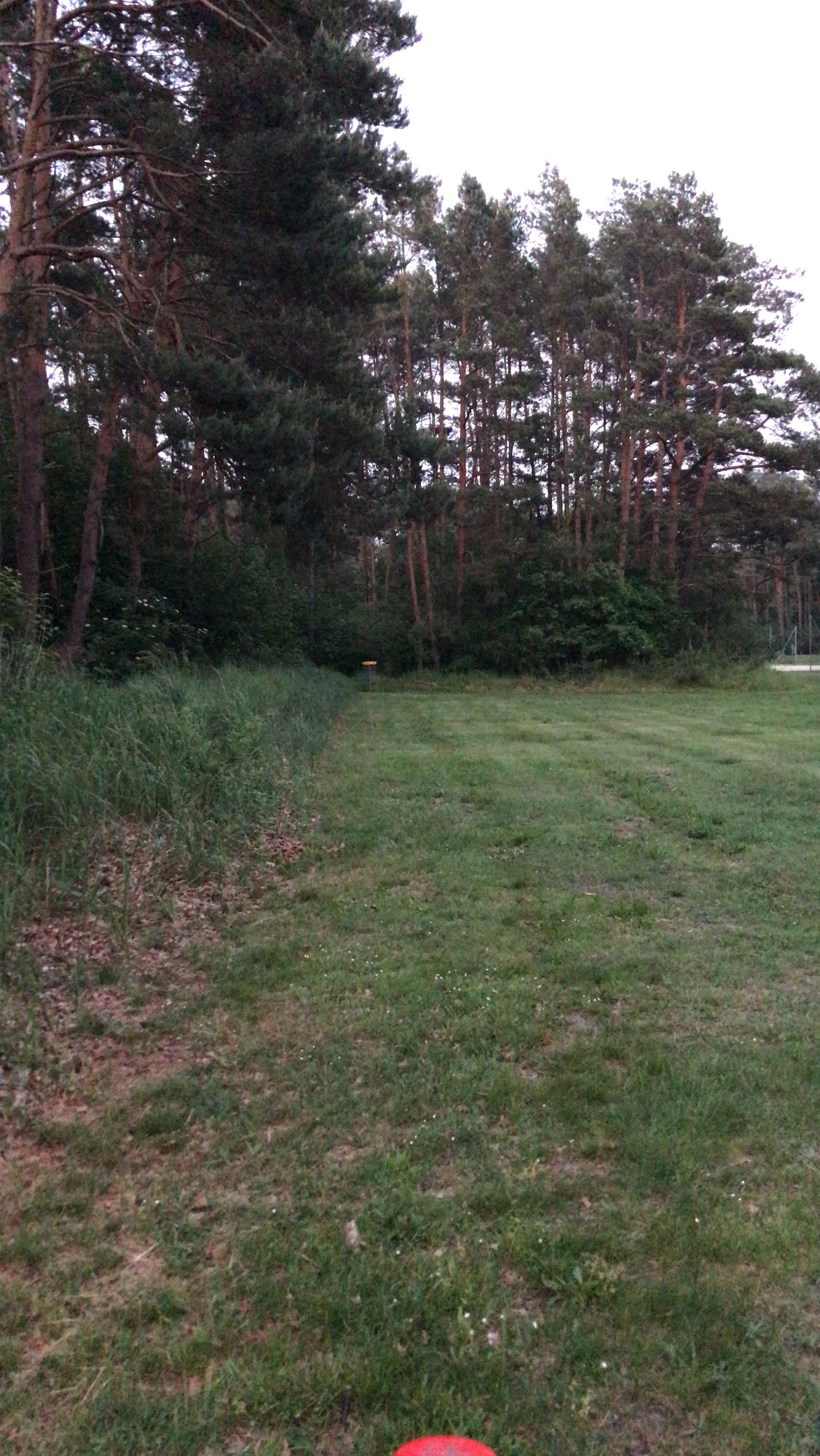 Wittingen Disc Golf - Your Guide to Disc Golf in Wittingen, Germany | UDisc