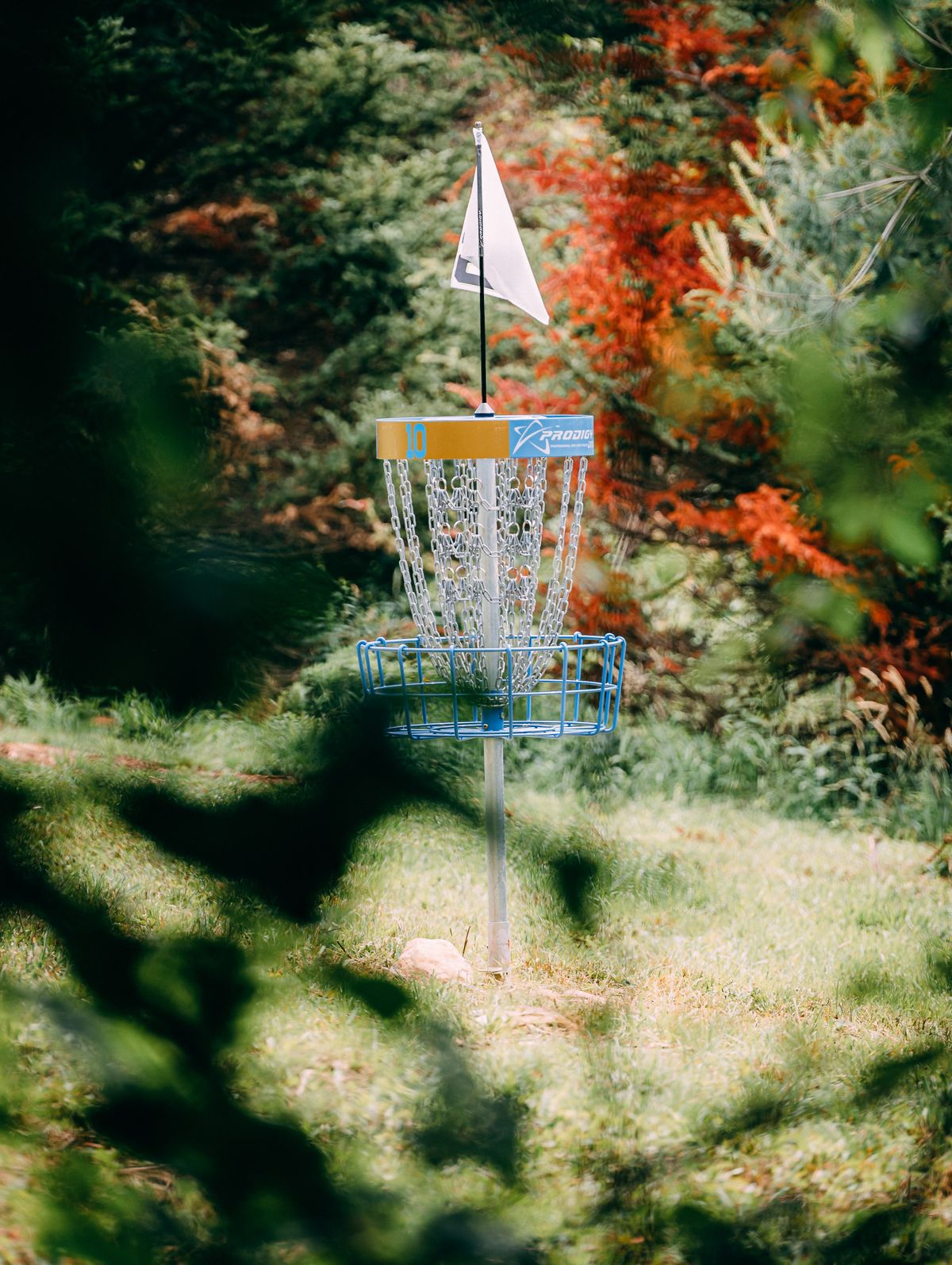 Buffalo Mountain Disc Golf - Willis, Virginia | UDisc Disc Golf Course ...