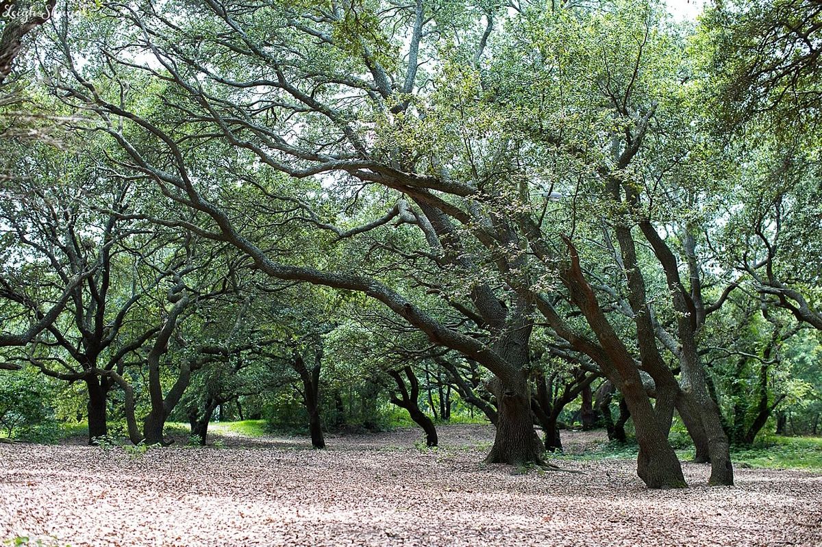 Monkey Bottom Park - Norfolk, Virginia | UDisc Disc Golf Course Directory