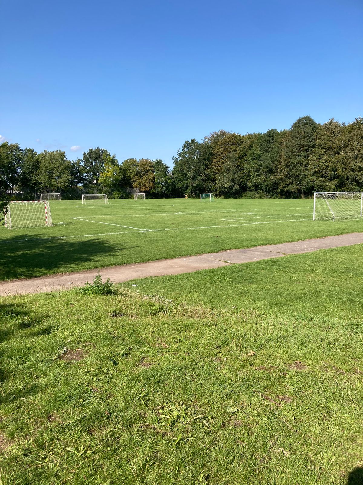 Harry Putter Forrest - Roskilde, Denmark | UDisc Disc Golf Course Directory