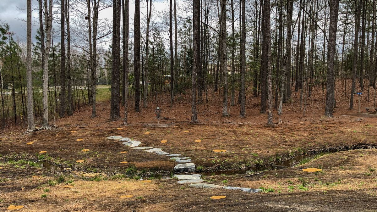 Dunncroft/Castle Point Park - Glen Allen, VA | UDisc Disc Golf Course ...