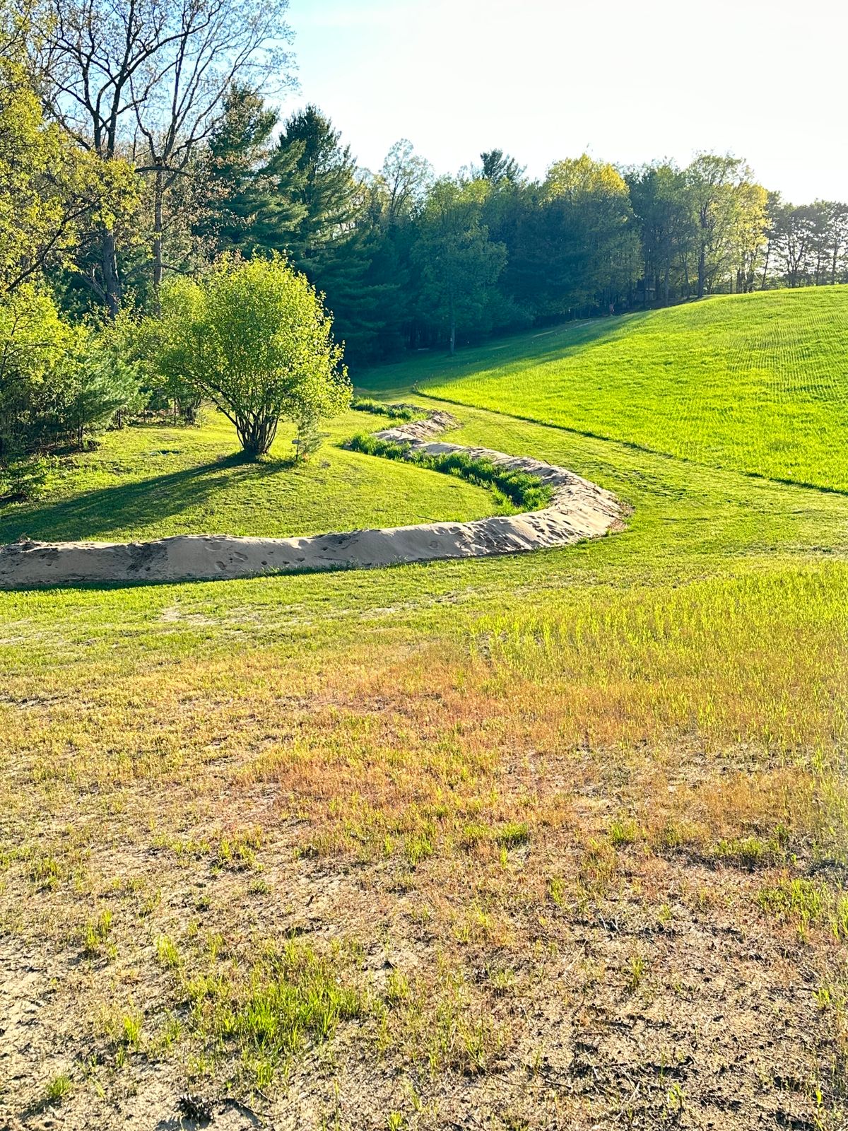 Acorn Hills Grey Squirrel - Manistee, MI | UDisc Disc Golf Course Directory