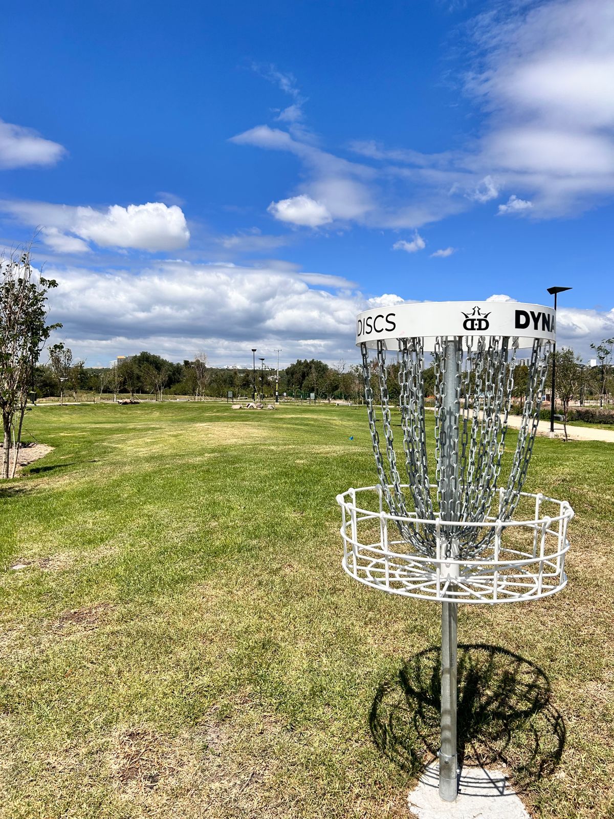 San Pedro Mártir Disc Golf - Your Guide to Disc Golf in San Pedro ...