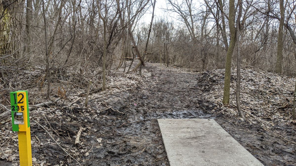 The Woods at Lakeshore - Ypsilanti Charter Township, Michigan | UDisc ...