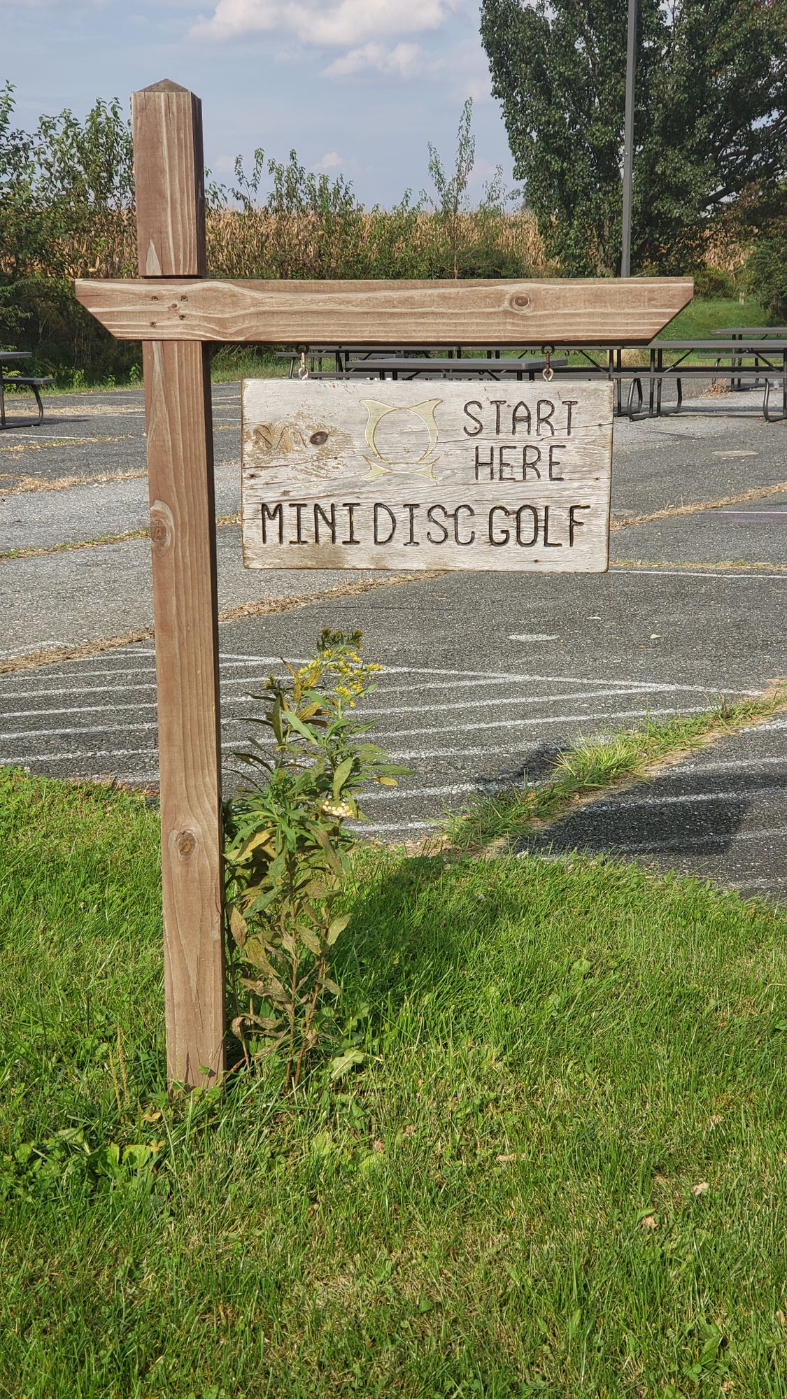 Laserdome Mini Dgc - Manheim, PA | UDisc Disc Golf Course Directory