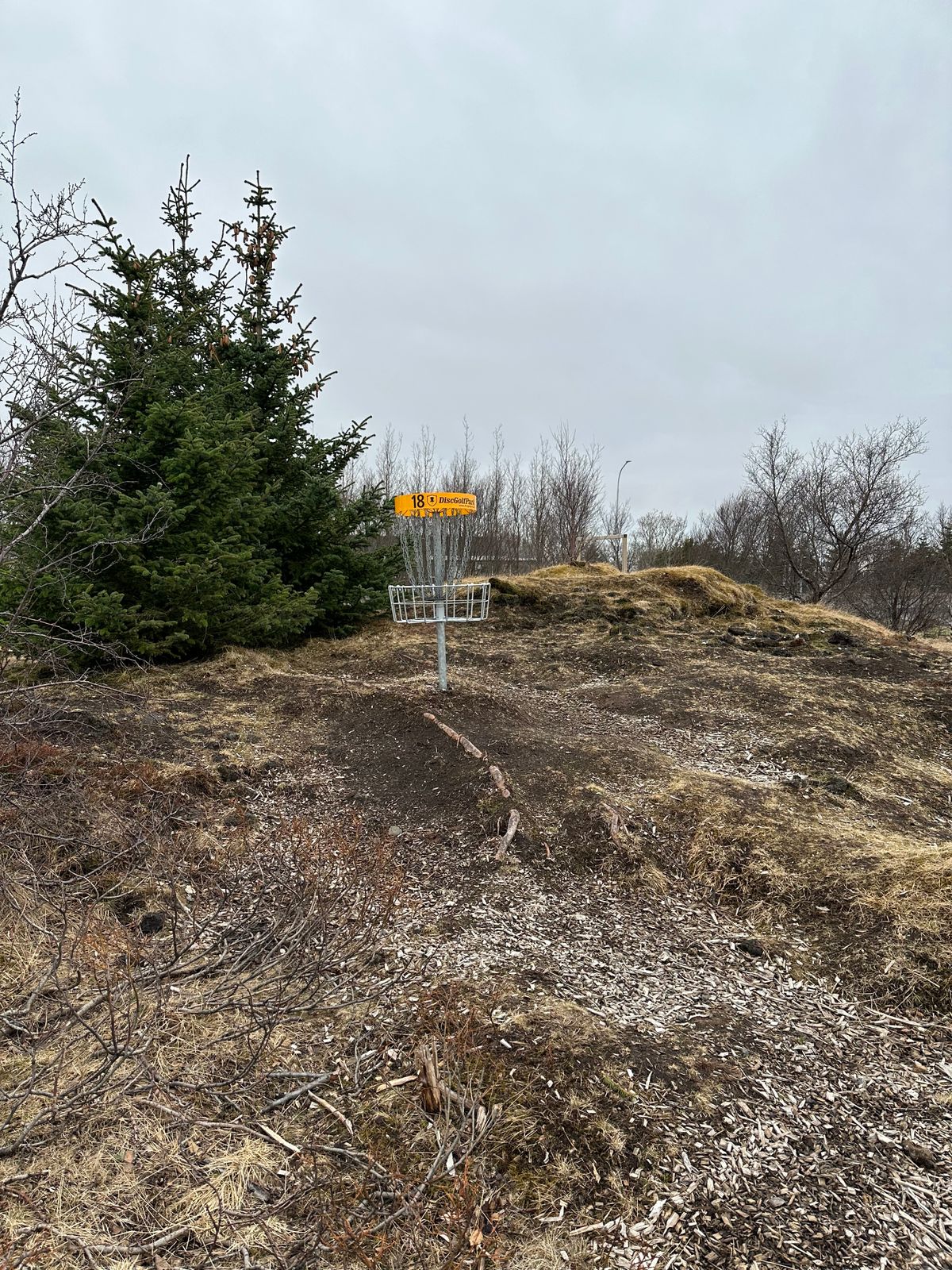 Selfoss Disc Golf - Your Guide to Disc Golf in Selfoss, Iceland | UDisc