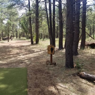 Wilderness Ranch - AZ | UDisc Disc Golf Course Directory