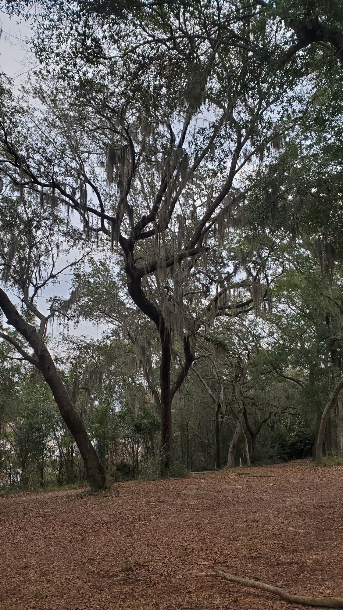 Hiller Park - Biloxi, Mississippi | UDisc Disc Golf Course Directory