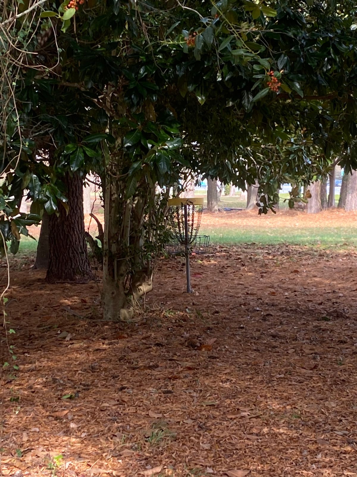 Decatur Park - Berlin, MD | UDisc Disc Golf Course Directory