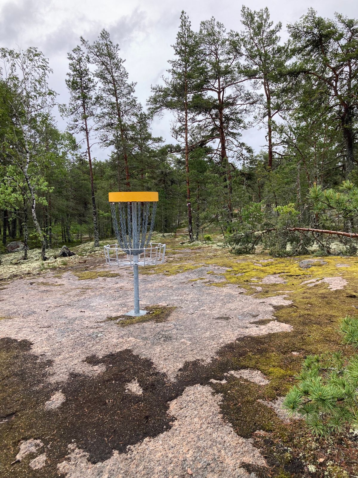 Mussalo DiscGolfPark - Finland | UDisc Disc Golf Course Directory