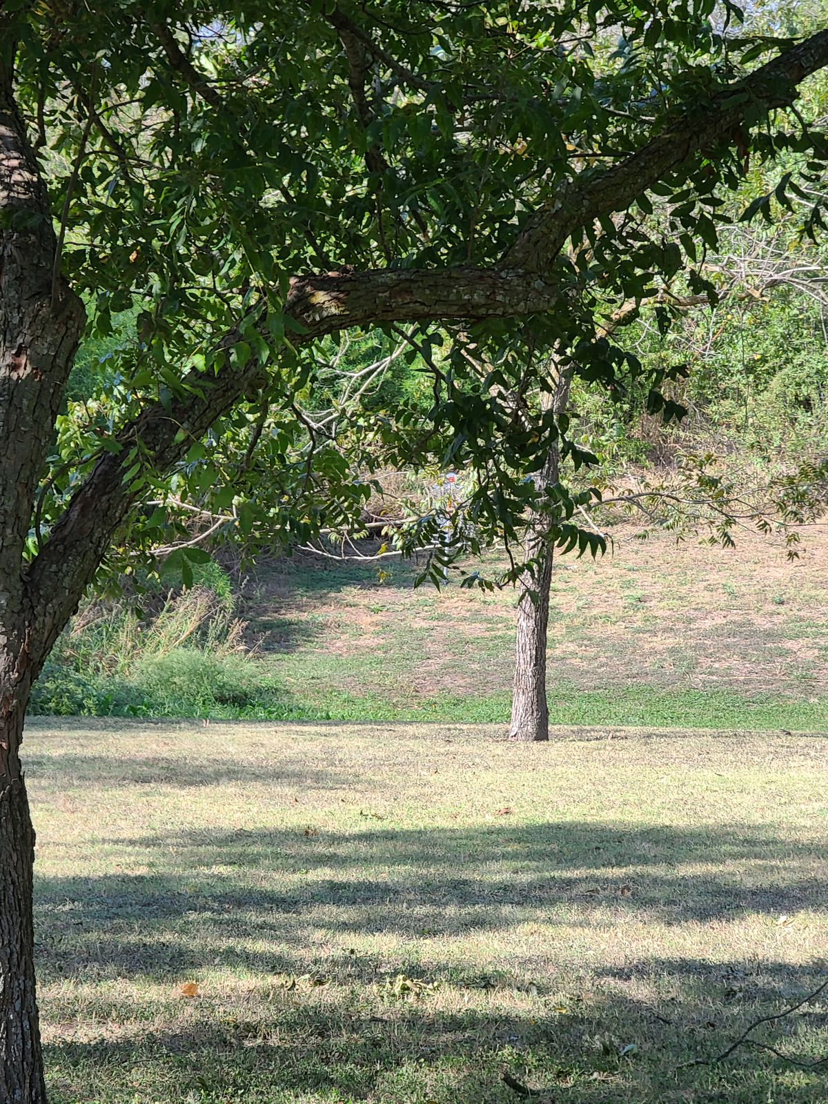 Bull Branch DGC - Taylor, TX | UDisc Disc Golf Course Directory