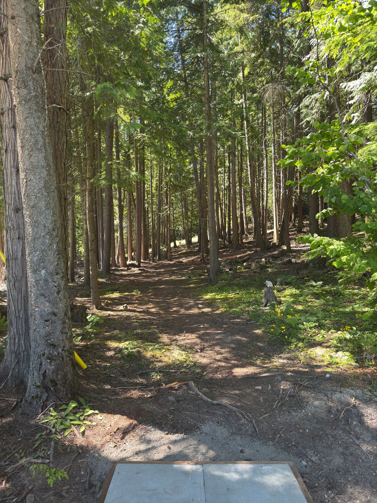 Balfour Disc Golf Course - Central Kootenay E, BC, Canada | UDisc Disc ...