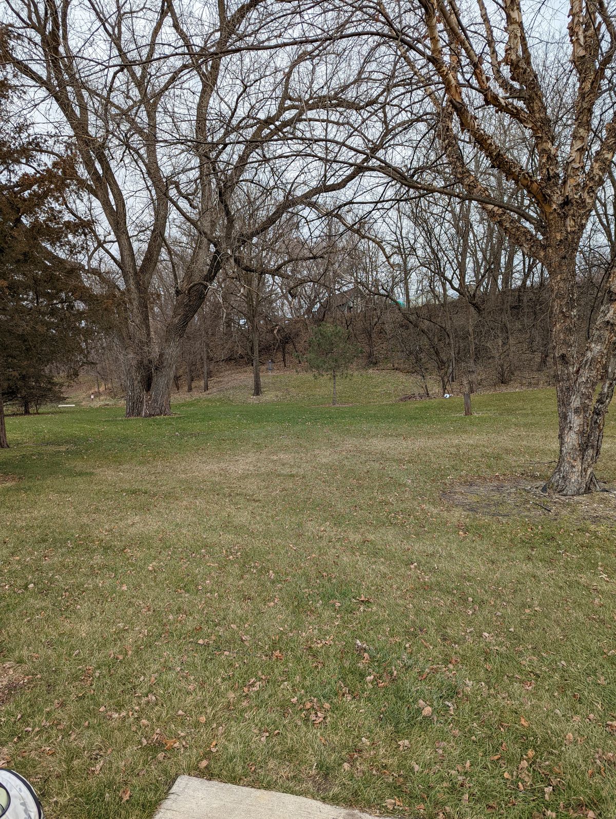 Herb Vik Field - Mazeppa, MN | UDisc Disc Golf Course Directory