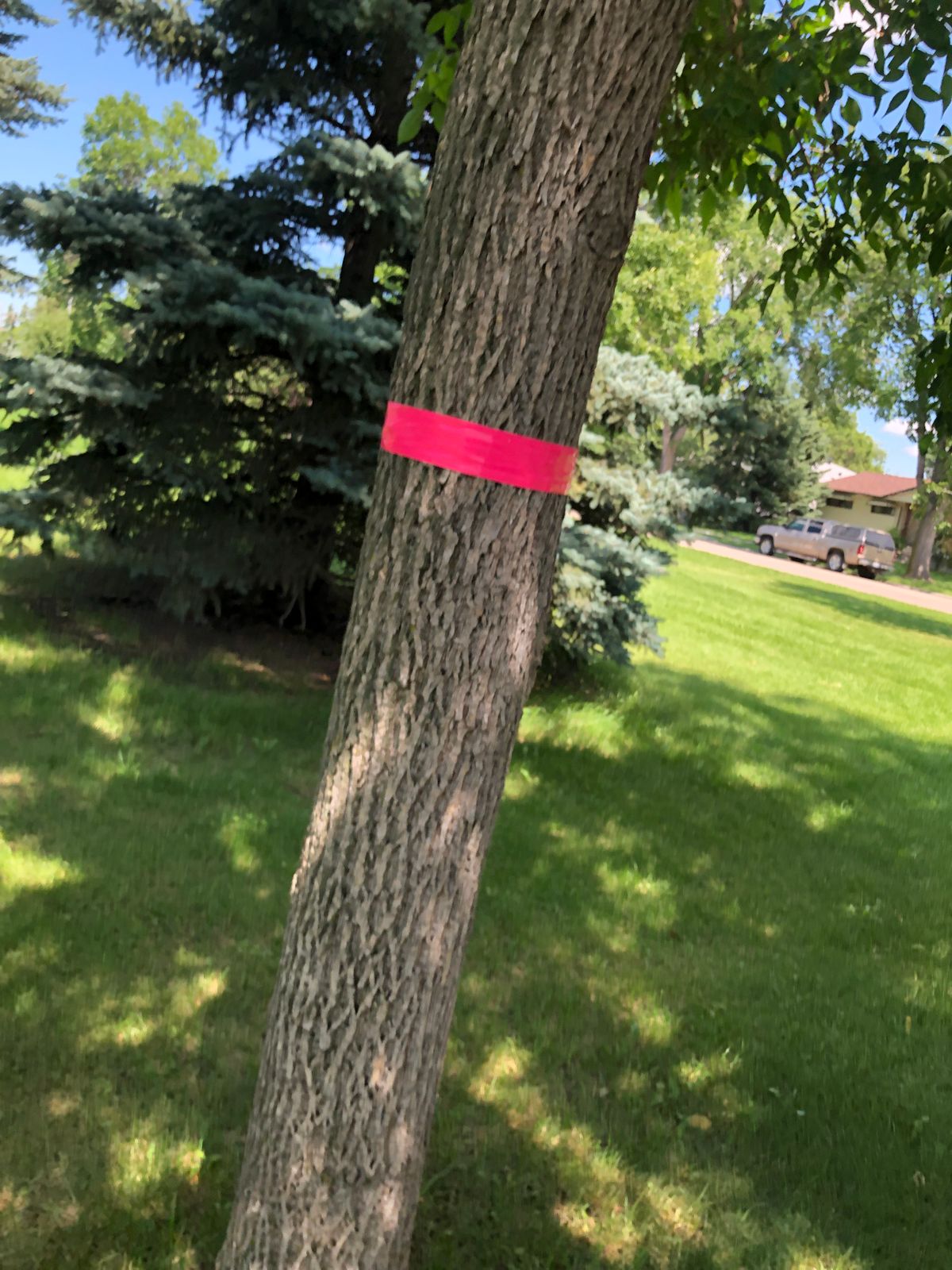 Grand Trunk - Edmonton, AB, Canada | UDisc Disc Golf Course Directory ...