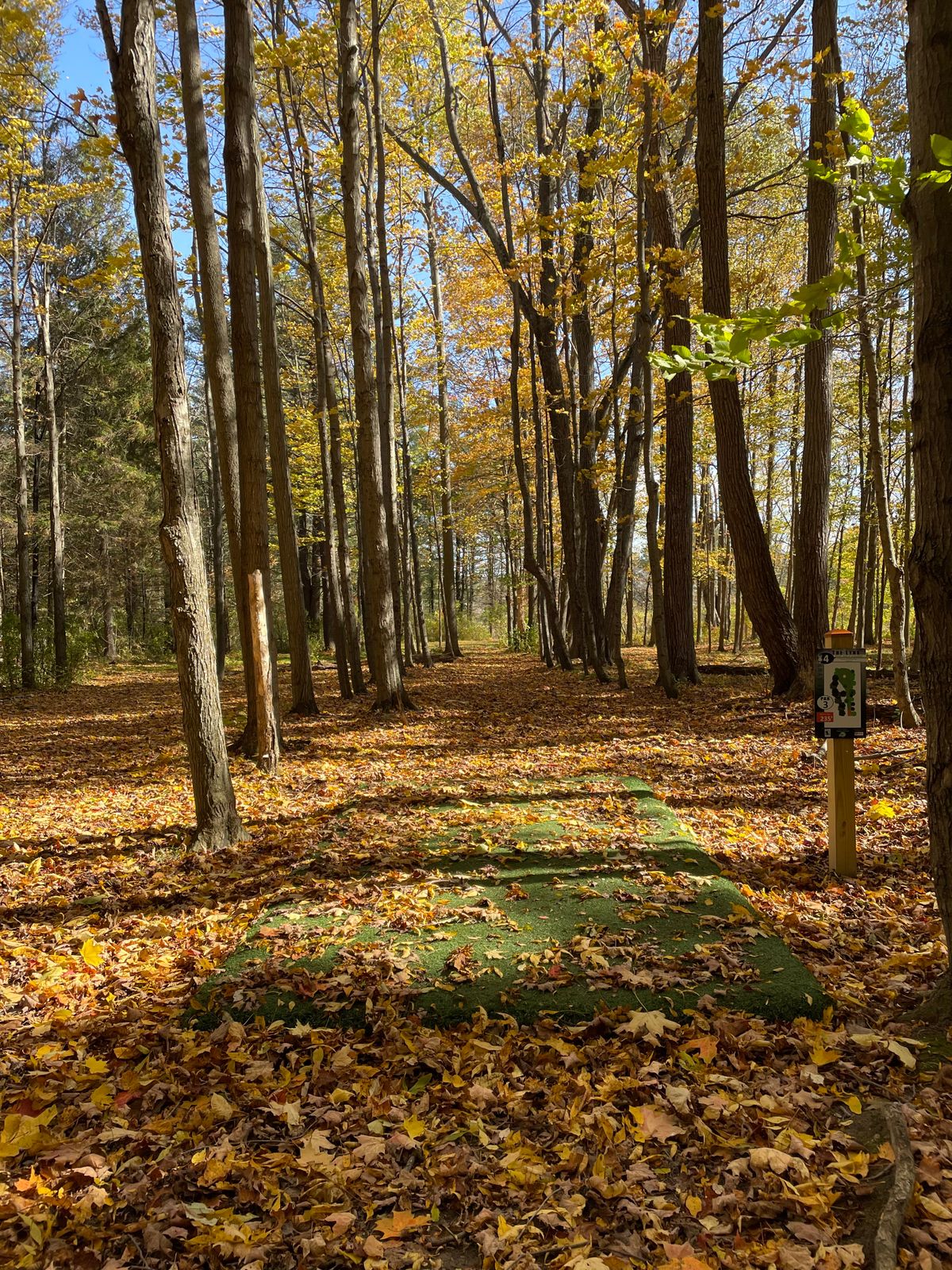 The Lynx at Dotson Park - Ithaca, New York | UDisc Disc Golf Course ...