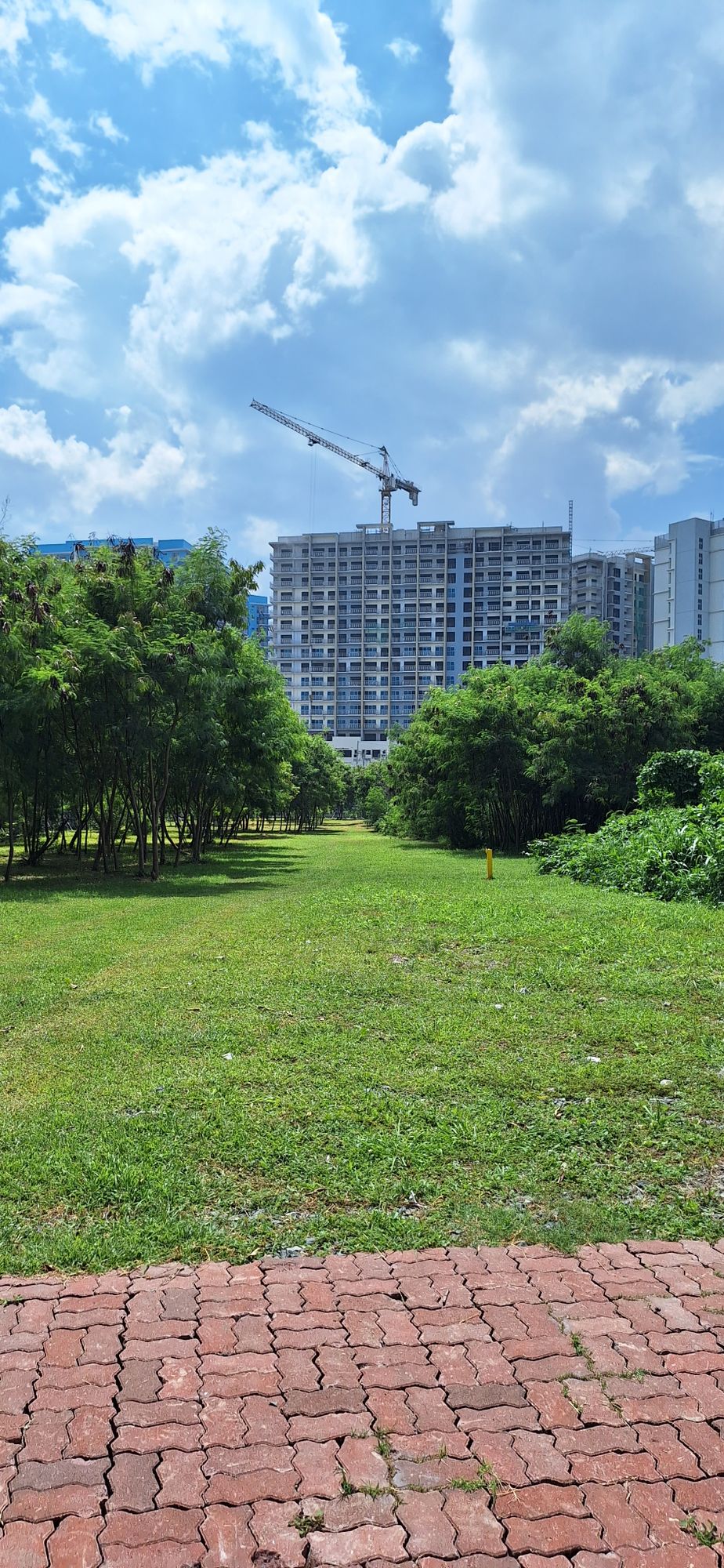 Manila Disc Golf - Your Guide to Disc Golf in Manila, Philippines | UDisc