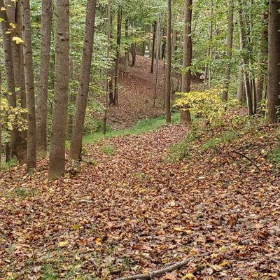 Independence Park - Bedford, Virginia | UDisc Disc Golf Course Directory