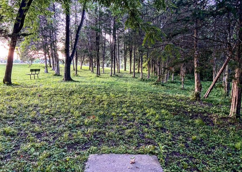Larry G Crites Memorial (West City Park) - Festus, Missouri | UDisc ...