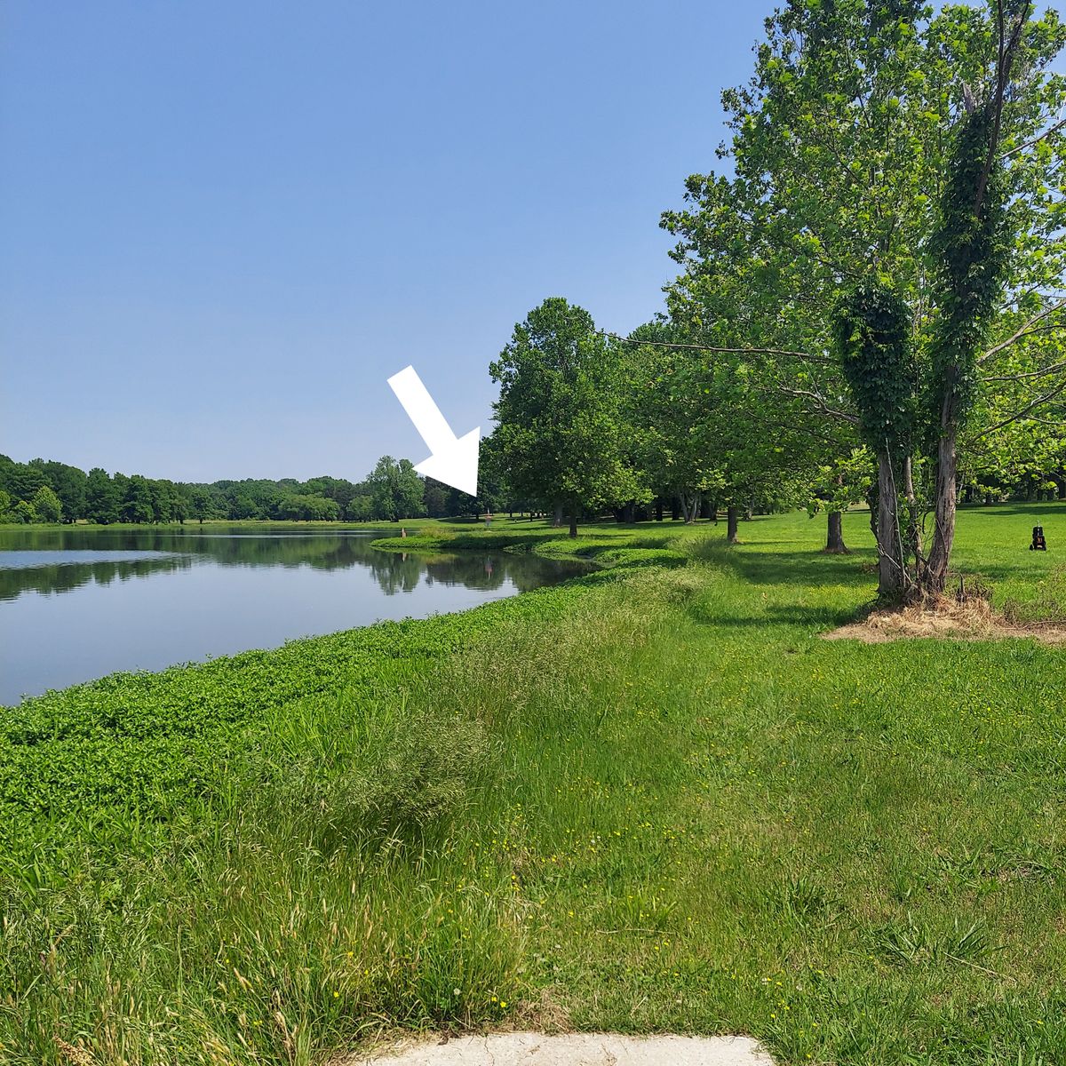 Lakeside at Orgill Park - Millington, Tennessee | UDisc Disc Golf ...