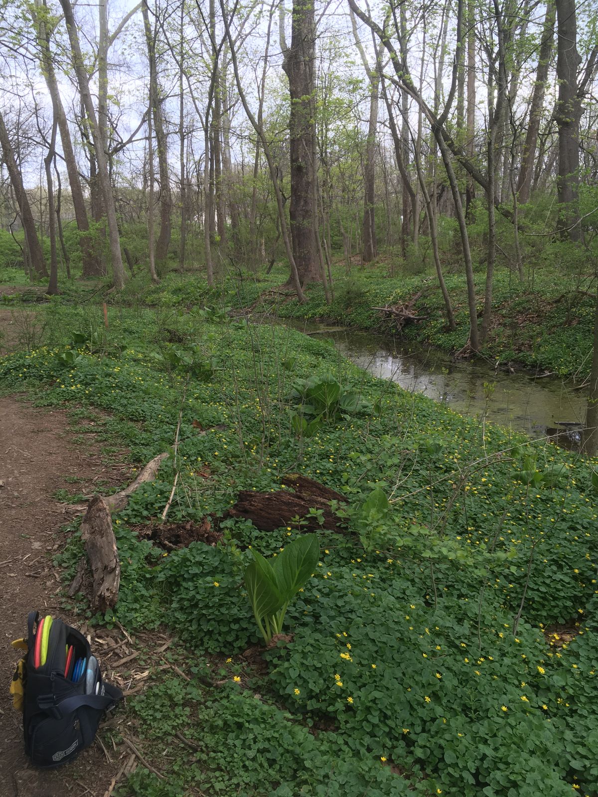 Kerr Park - Downingtown, PA | UDisc Disc Golf Course Directory