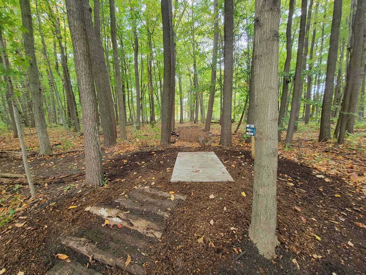 Jake Simpson Disc Golf Course - North Street, Michigan | UDisc Disc ...