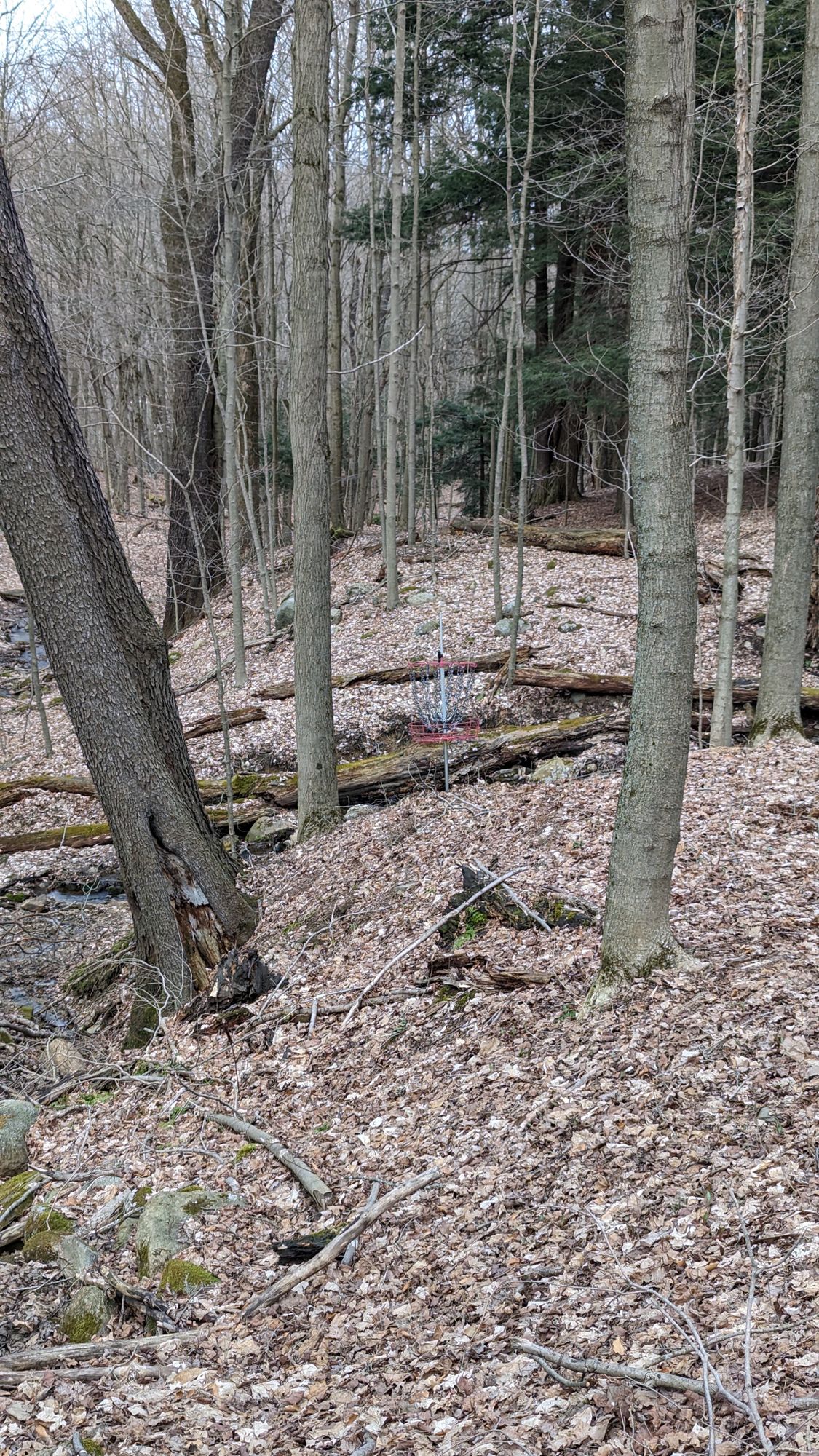 Oasis - Cassadaga, NY | UDisc Disc Golf Course Directory