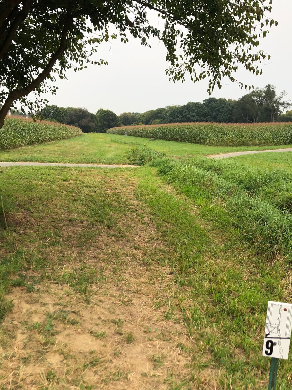 Red Tail Run@Lanc. Bible College - Lancaster, Pennsylvania | UDisc Disc ...