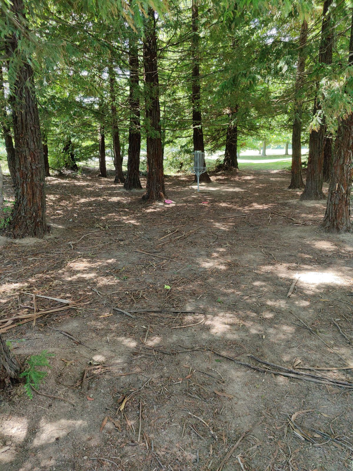 Saxton Field - Nelson, New Zealand | UDisc Disc Golf Course Directory