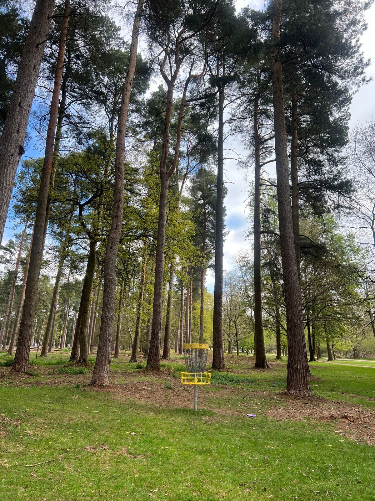 Cannock Chase Forest - Rugeley, United Kingdom | UDisc Disc Golf Course ...