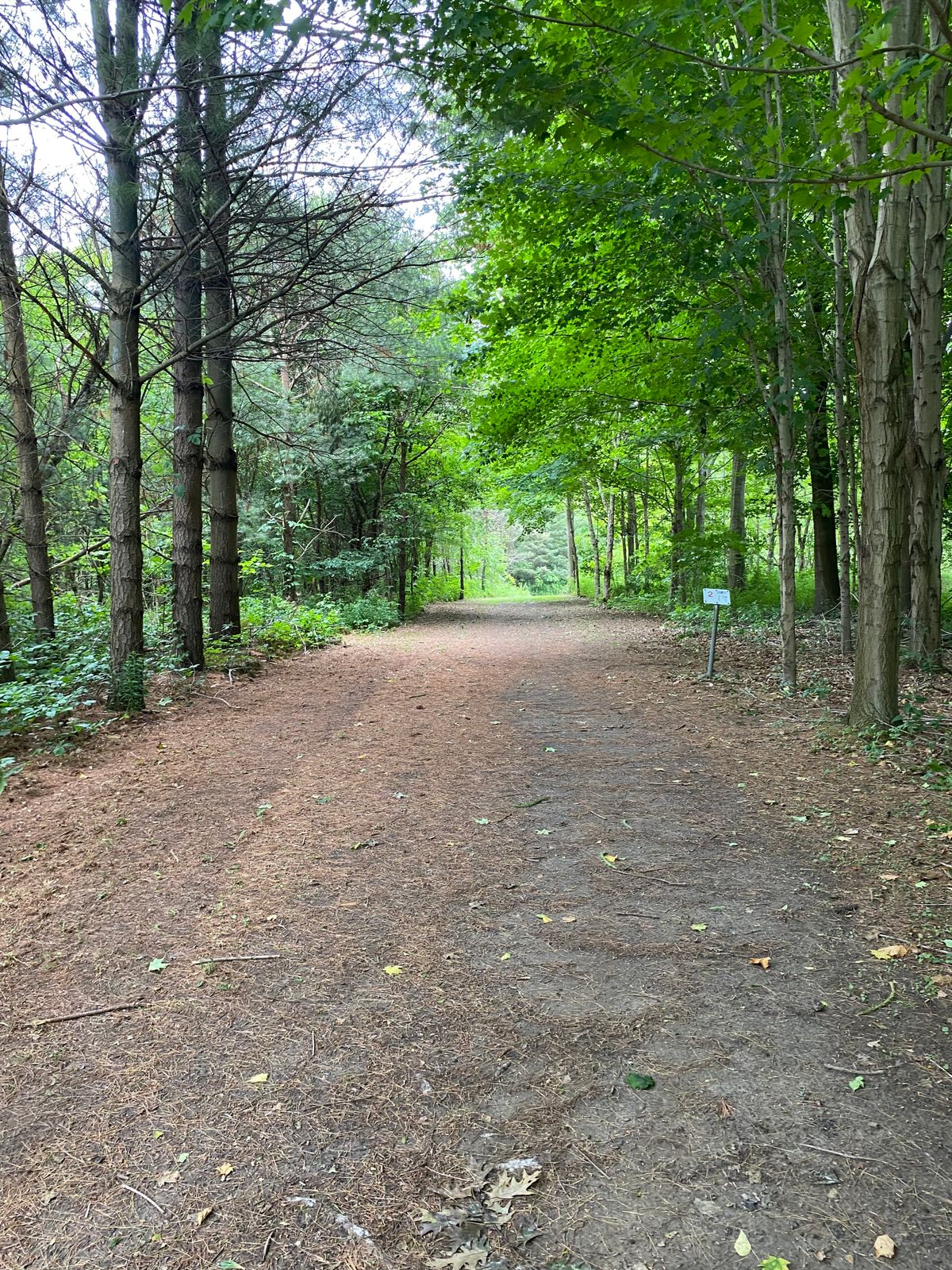 Lake Whittaker Disc Golf Course - Mossley, ON, Canada | UDisc Disc Golf ...