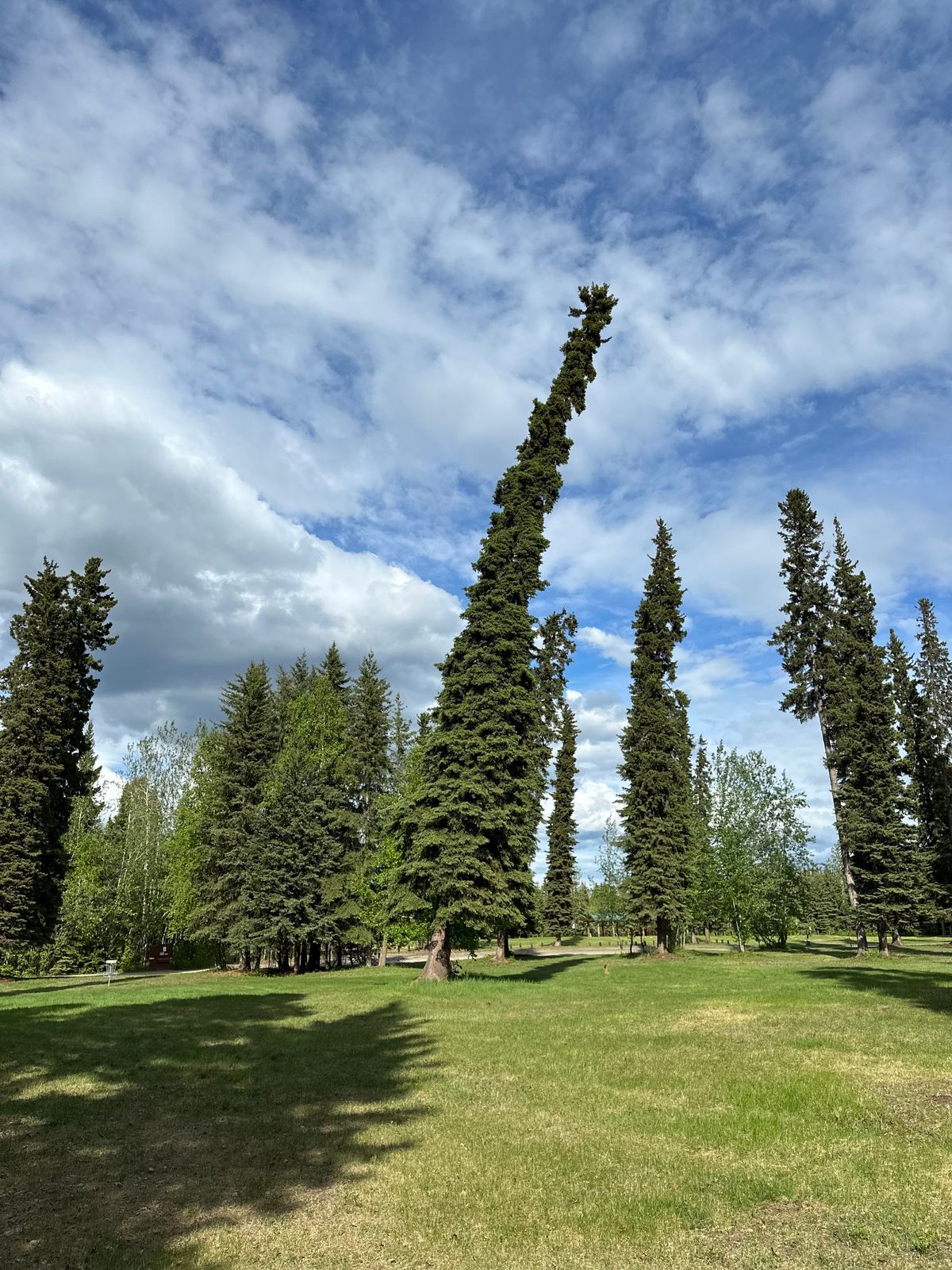 Fort Wainwright Glass Park - Fairbanks, AK | UDisc Disc Golf Course ...