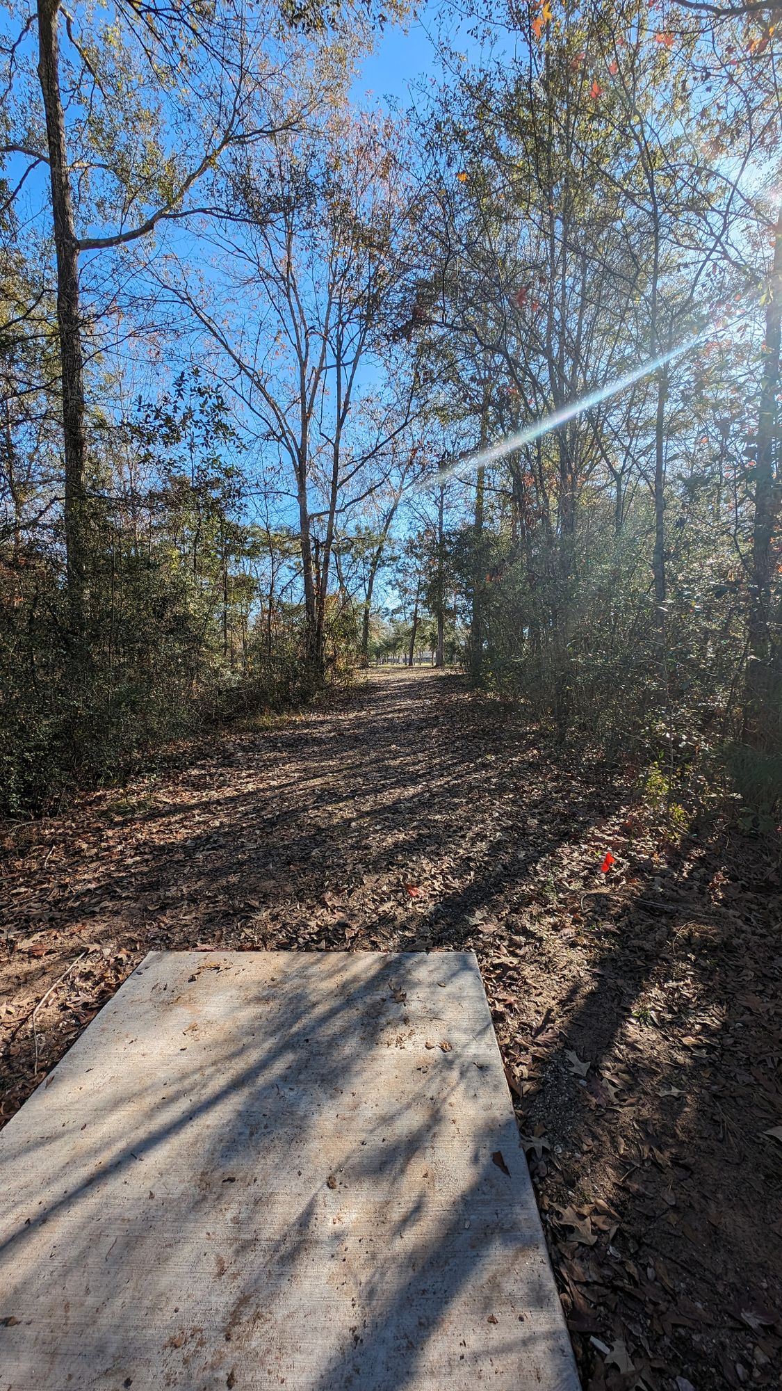 Turtle Bayou DGC - Wallisville, TX | UDisc Disc Golf Course Directory