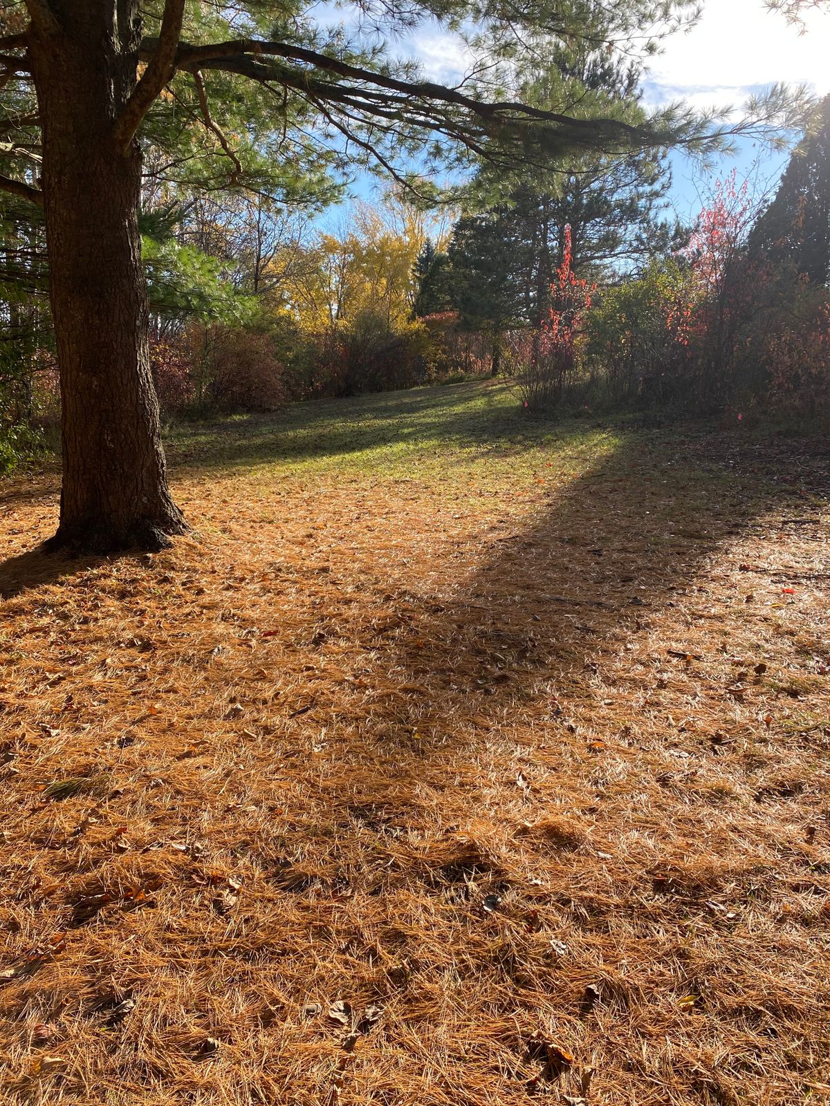 Plamann Meadowview 9 - Appleton, WI | UDisc Disc Golf Course Directory