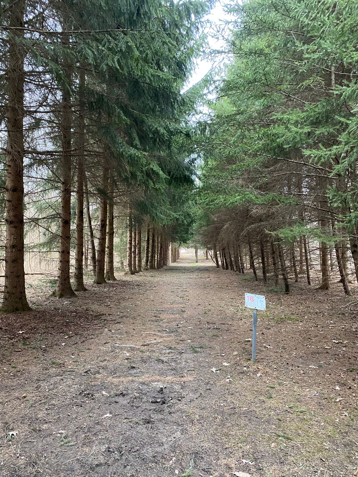 Lake Whittaker Disc Golf Course - Mossley, ON, Canada | UDisc Disc Golf ...
