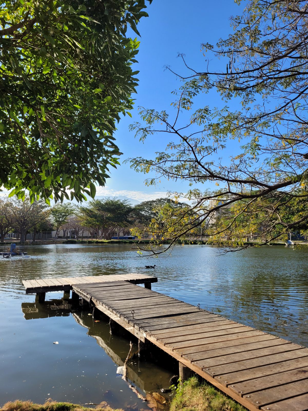 Santa Marta Disc Golf - Your Guide to Disc Golf in Santa Marta ...