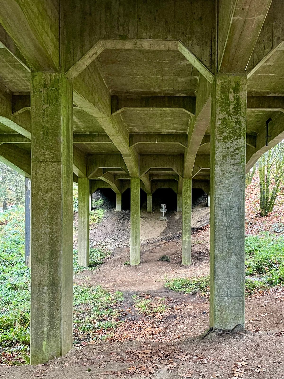 Paradise Point State Park - Ridgefield, Washington | UDisc Disc Golf ...