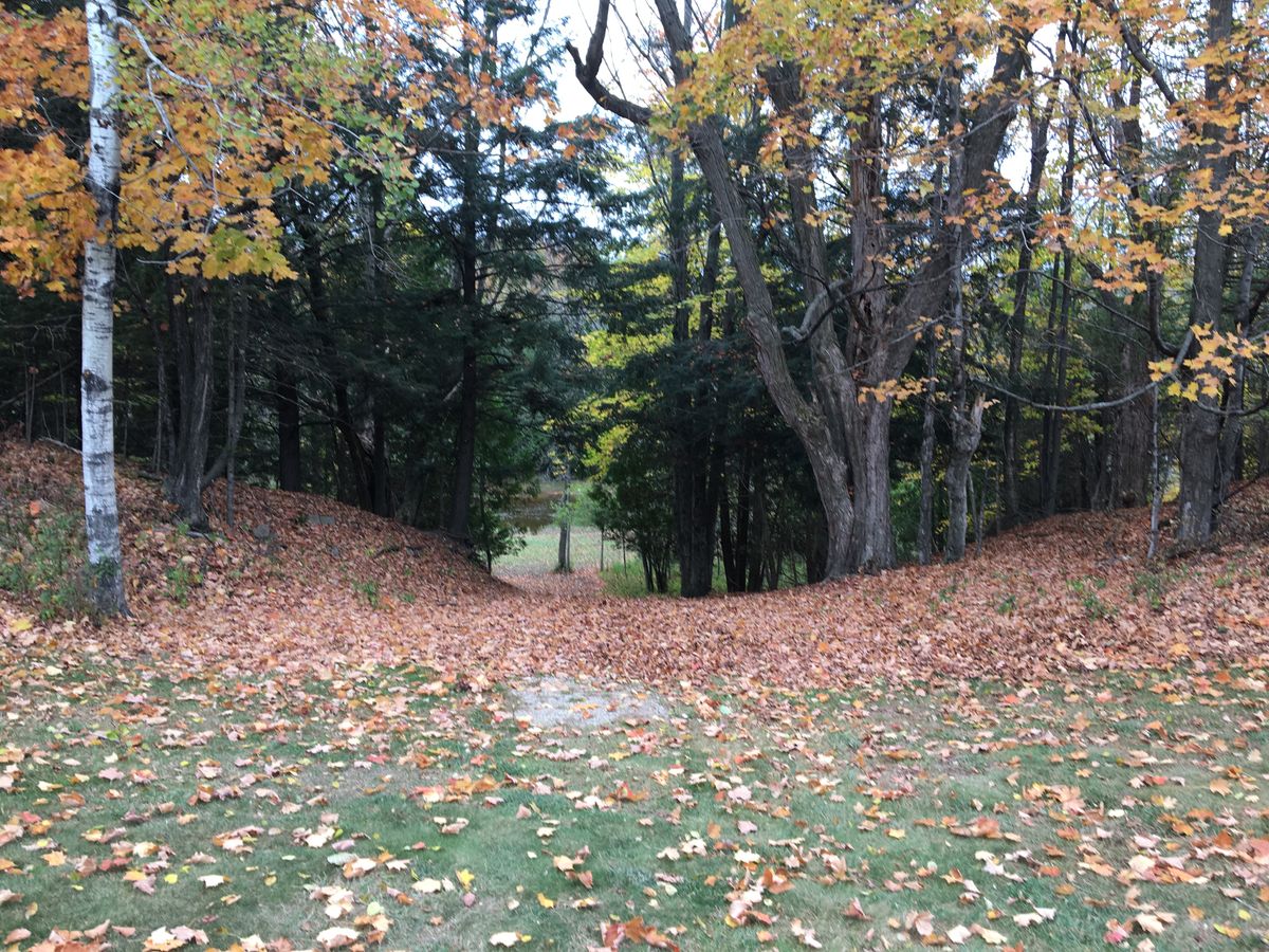 Grimes Pines - Escanaba, Michigan | UDisc Disc Golf Course Directory