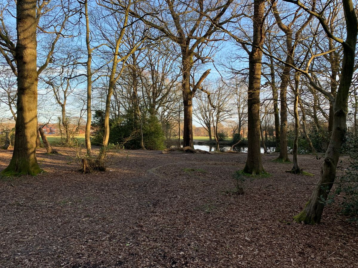 The Fox Pond - Hailsham, United Kingdom | UDisc Disc Golf Course Directory