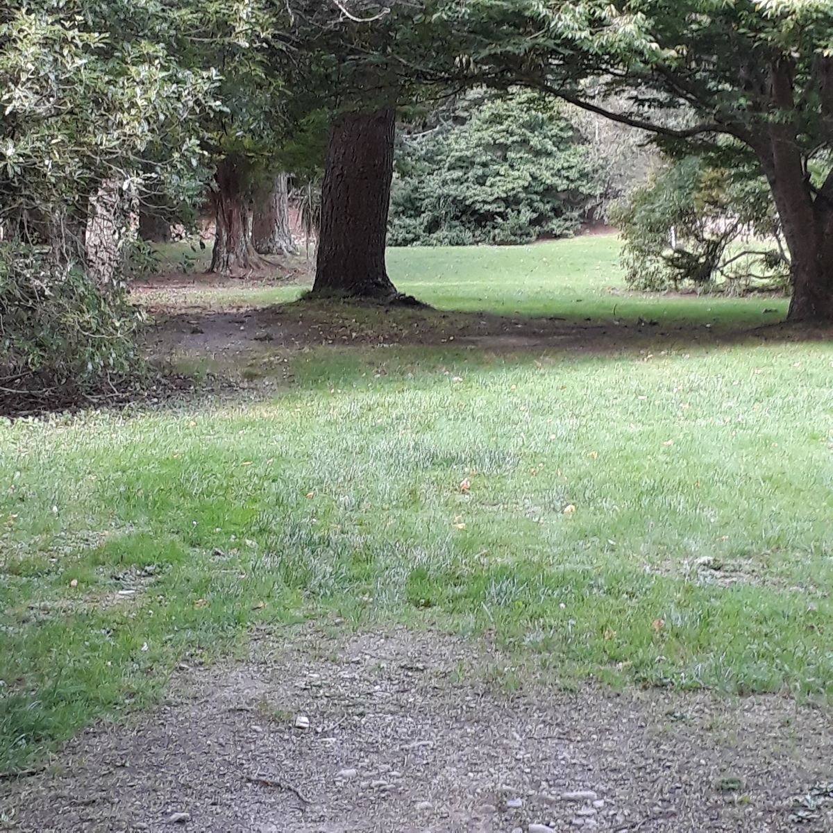 Harcourt Park - Upper Hutt, New Zealand | UDisc Disc Golf Course Directory