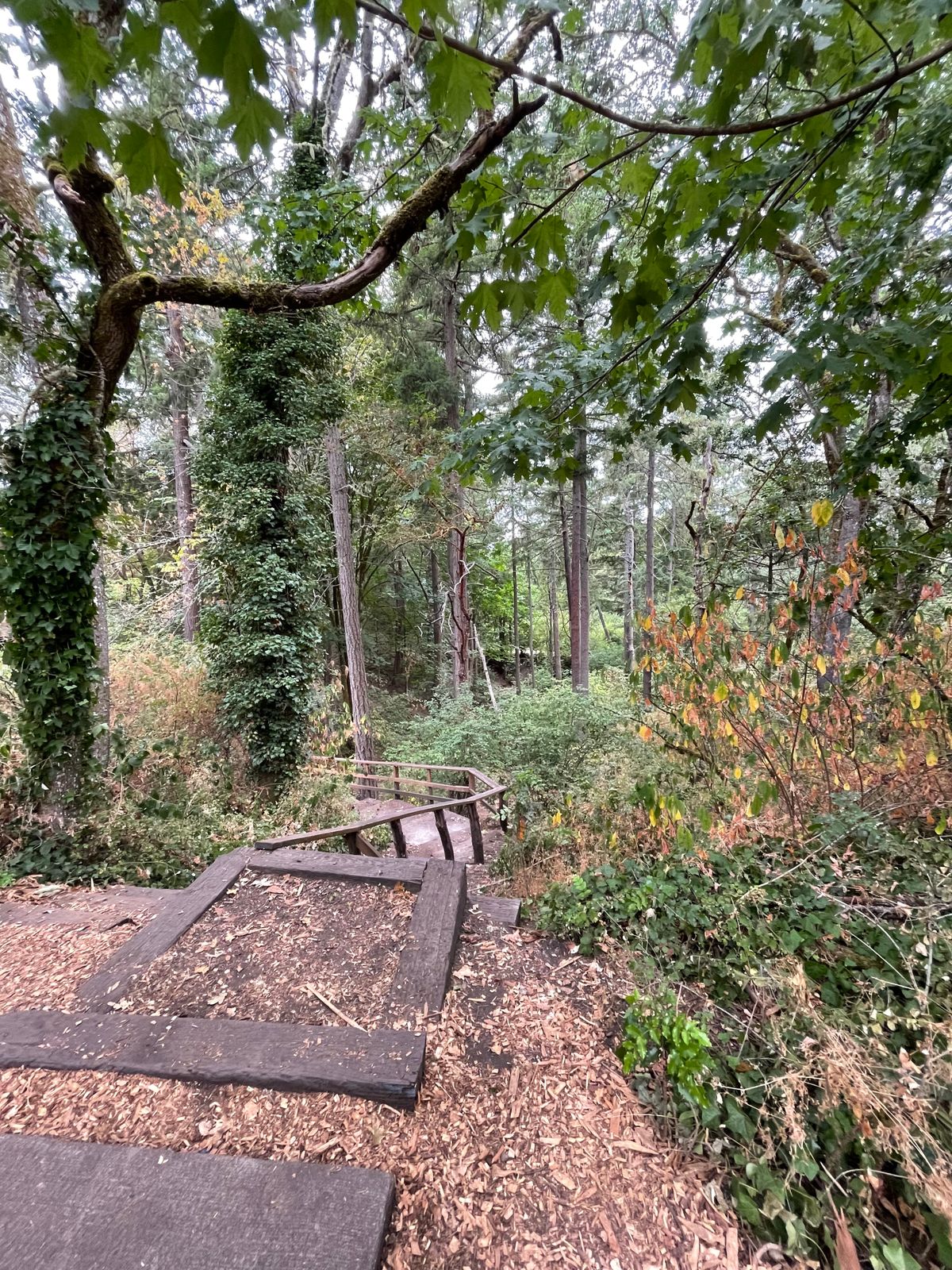 Fort Steilacoom NW - Lakewood, WA | UDisc Disc Golf Course Directory